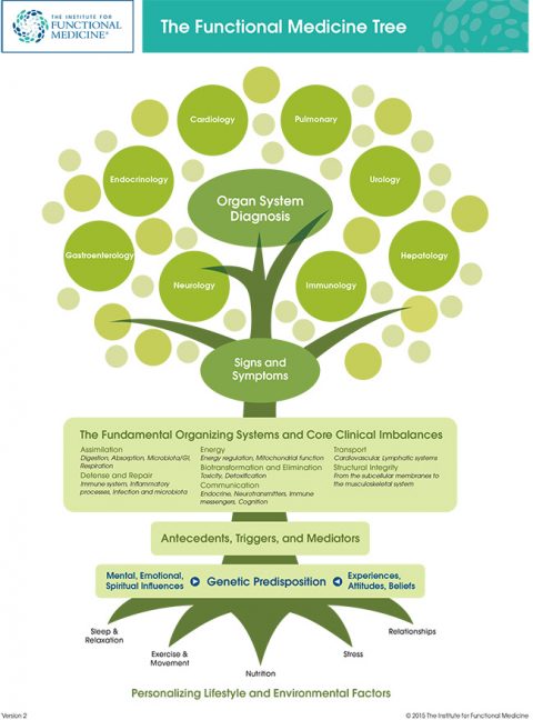 Functional Medicine Practitioner | Lancing | Coast Clinic